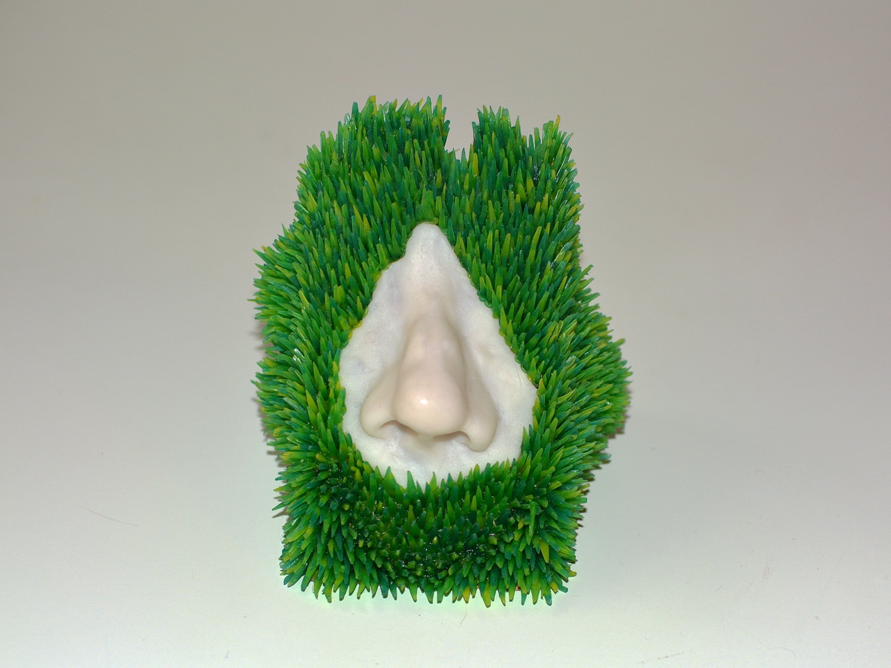 Miss nose - Braggart